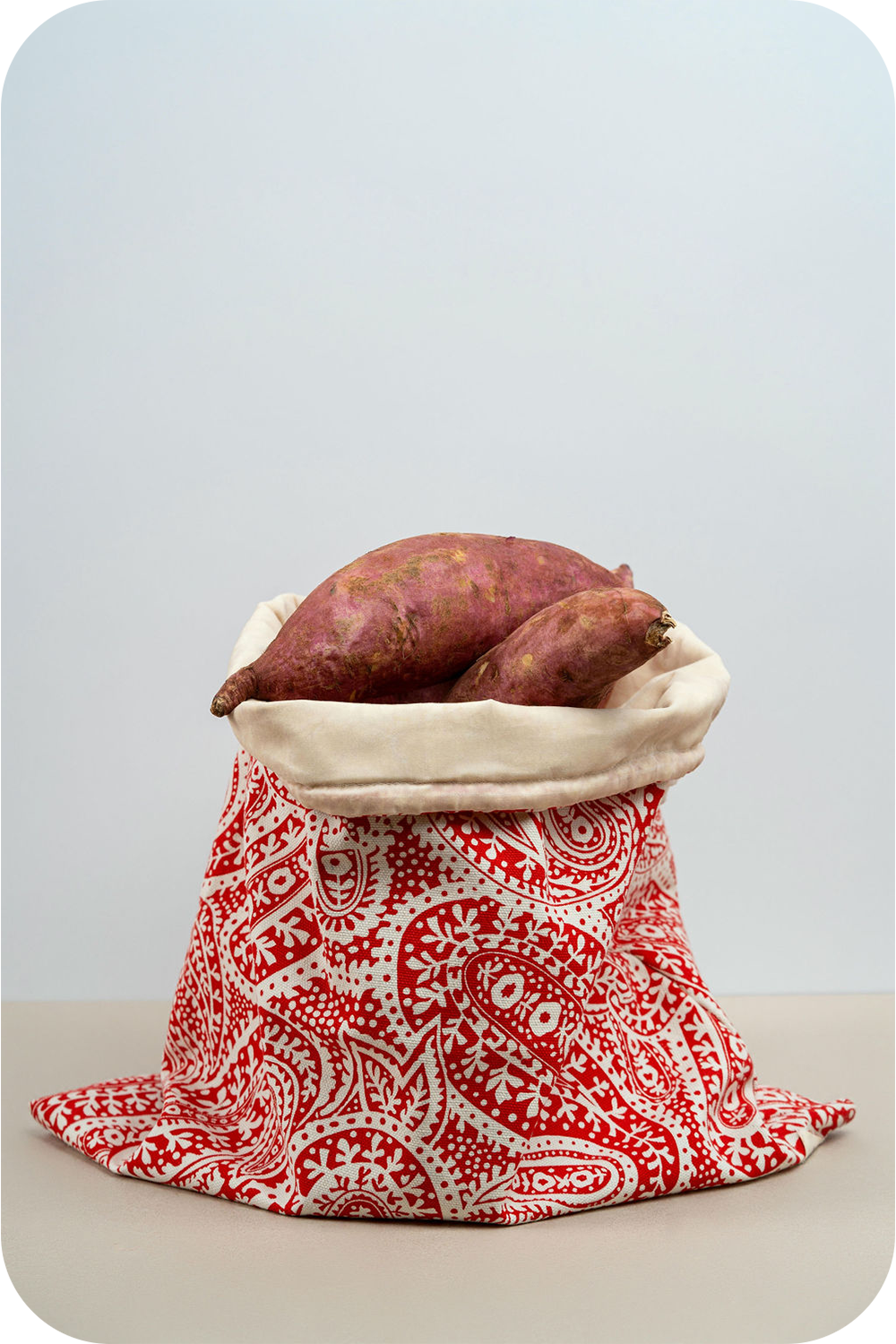The Boulé Bag | Bee Grounded